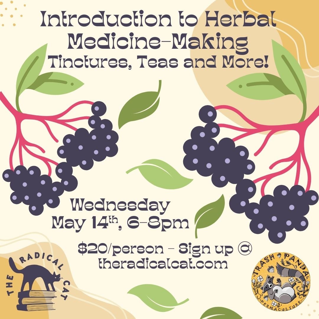 May 14 // Introduction to Herbal Medicine-Making with Trash Panda ...